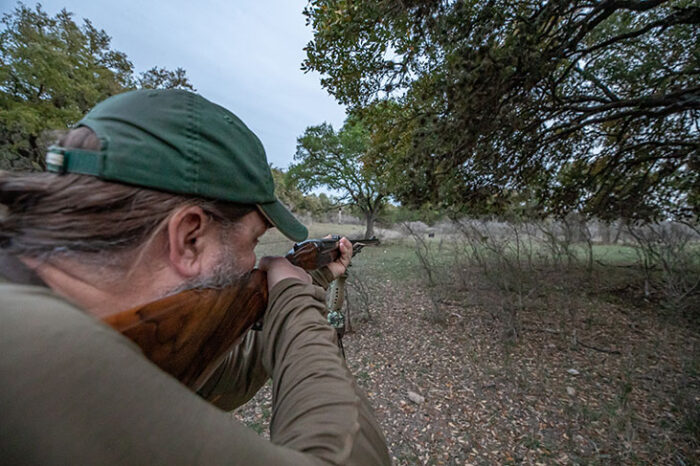 DOUBLE RIFLES OLD AND NEW - Safari Club