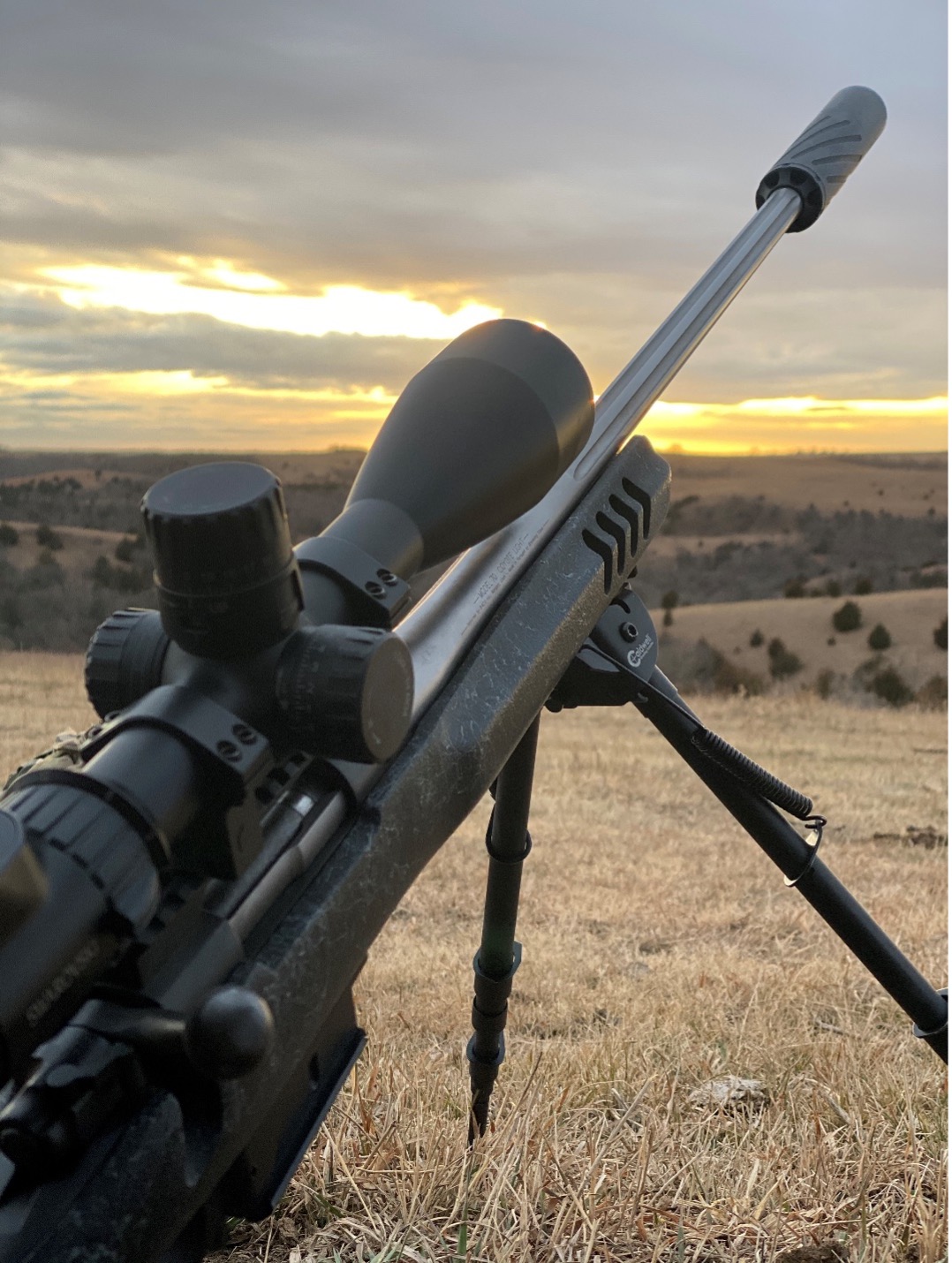 GUIDE TO SUCCESSFUL COYOTE HUNTING - Safari Club