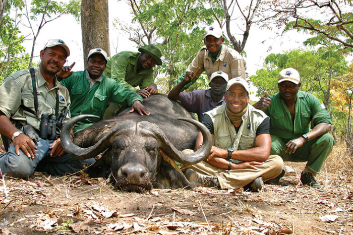 The Myths of Cape Buffalo - Safari Club