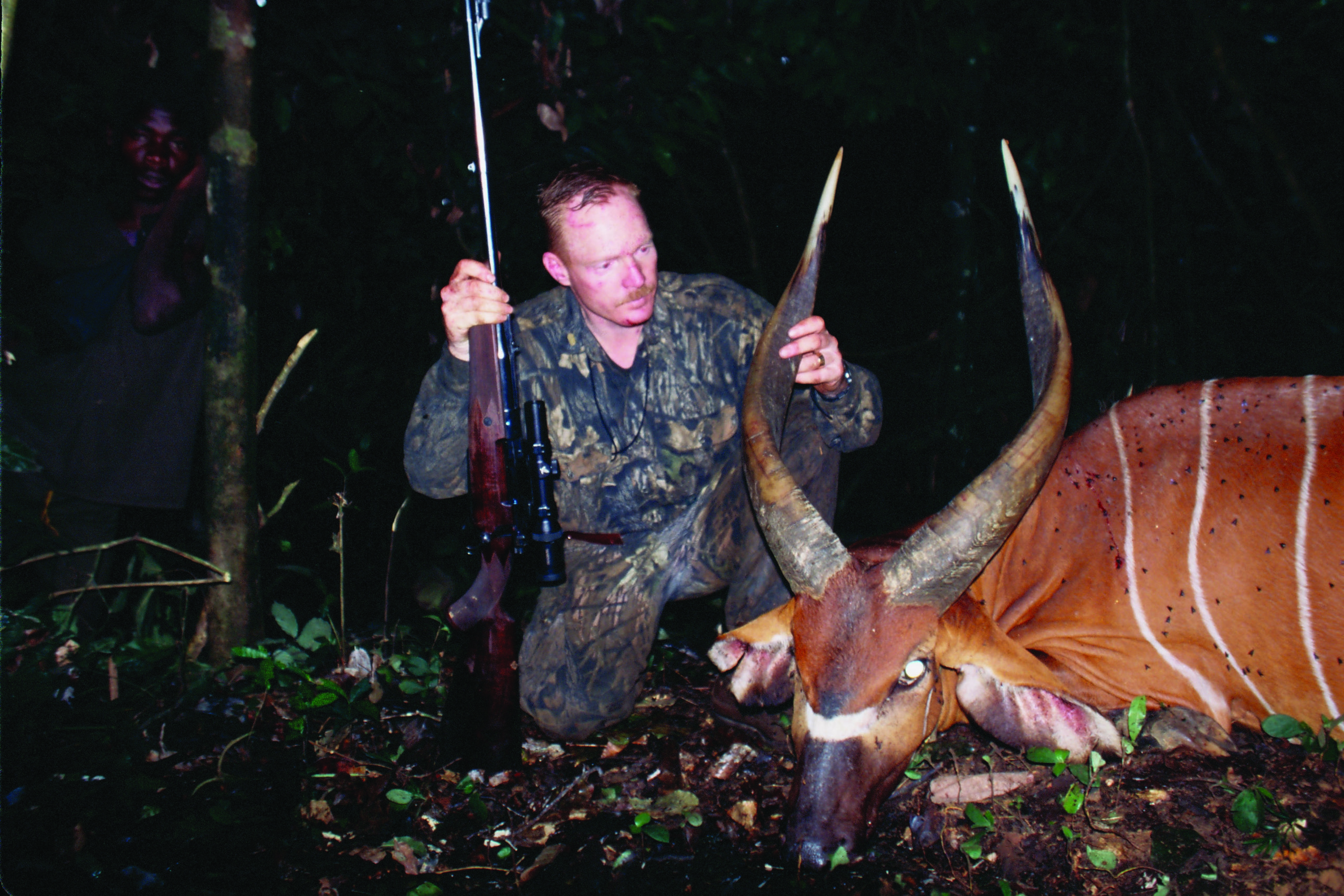 Bongo: King of the African Forest - Safari Club