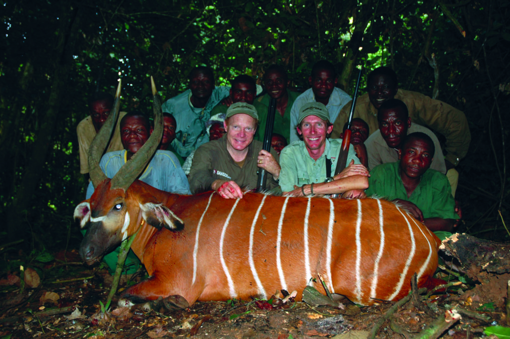 Bongo: King of the African Forest - Safari Club