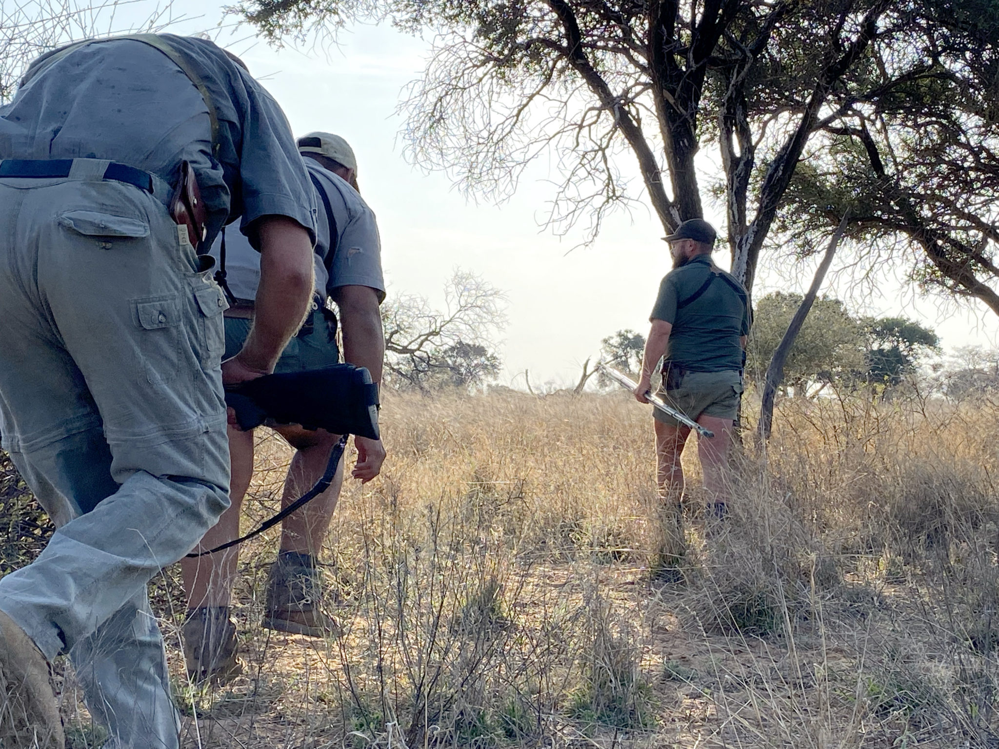 Golden Opportunity - Safari Club