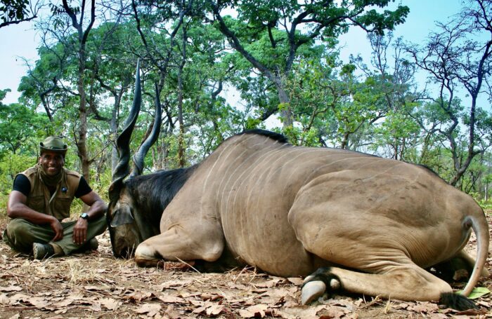 Honoring Elands - Safari Club