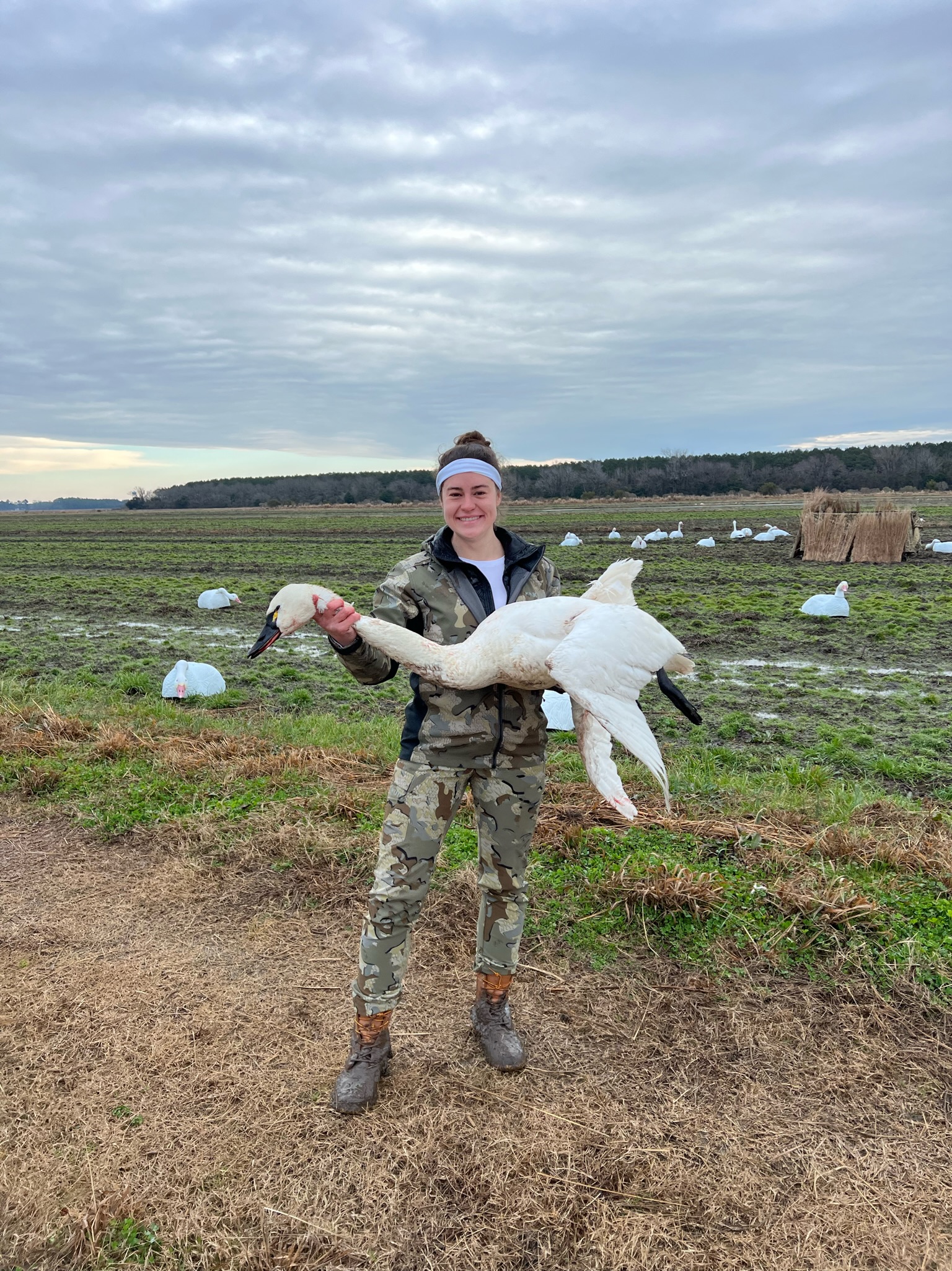 The North Carolina Swan Tag - Safari Club