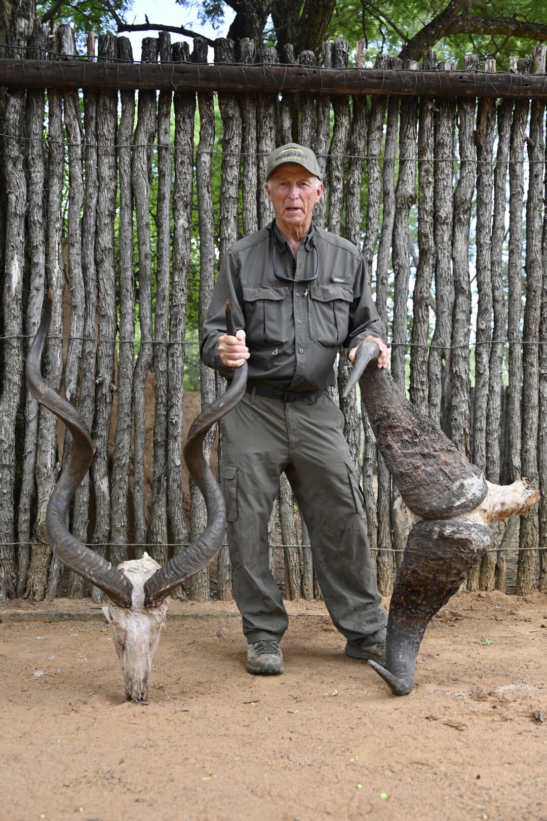 Big Cape Buff Outside Kruger National Park - Safari Club