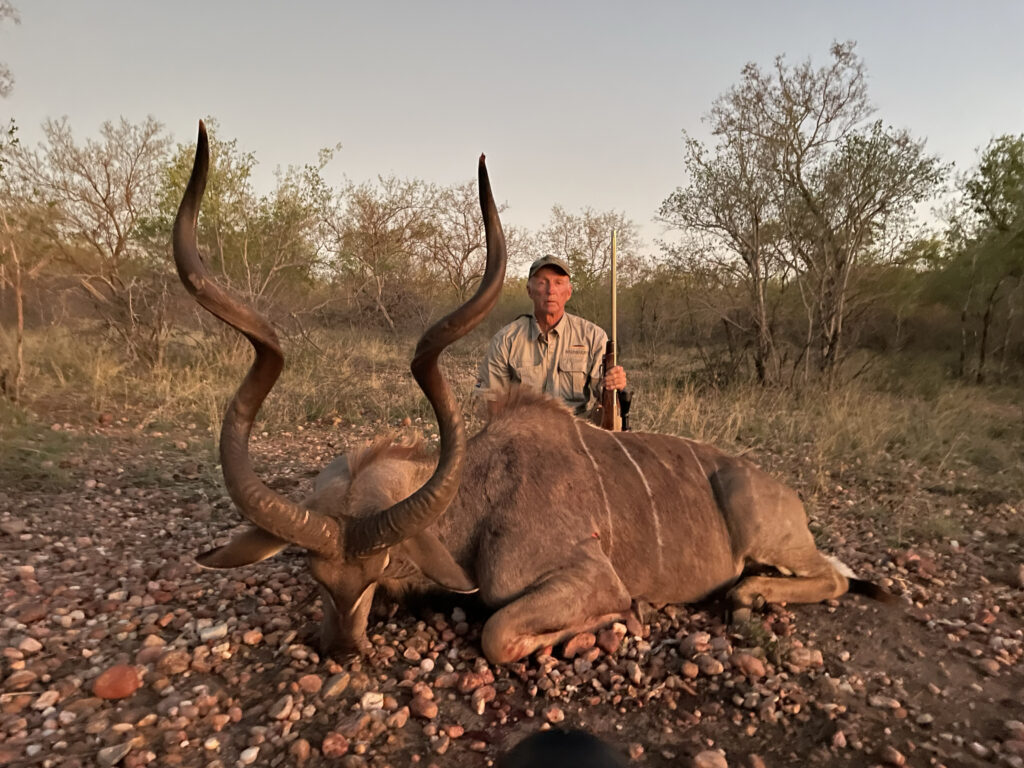 Big Cape Buff Outside Kruger National Park - Safari Club
