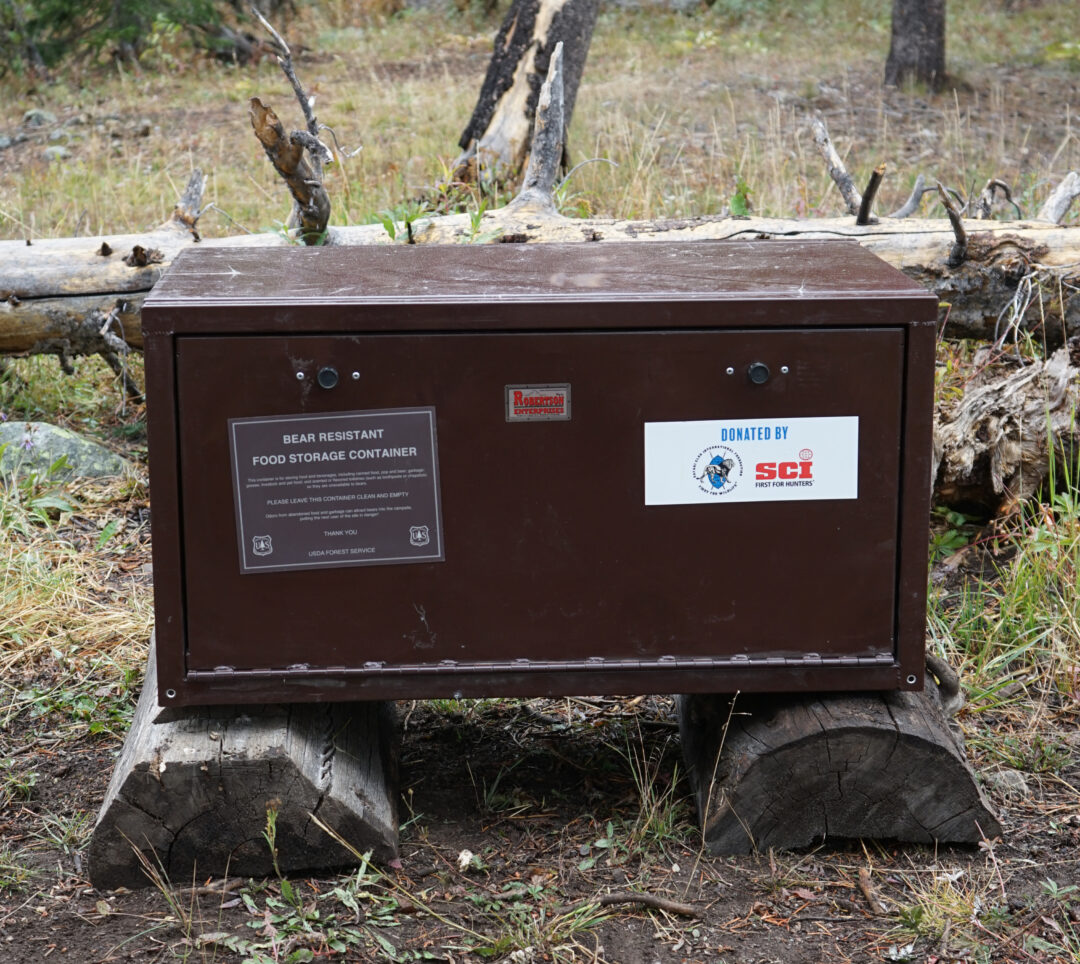 Bear Conservation Strategy Includes Reducing Bear Conflicts - Safari Club