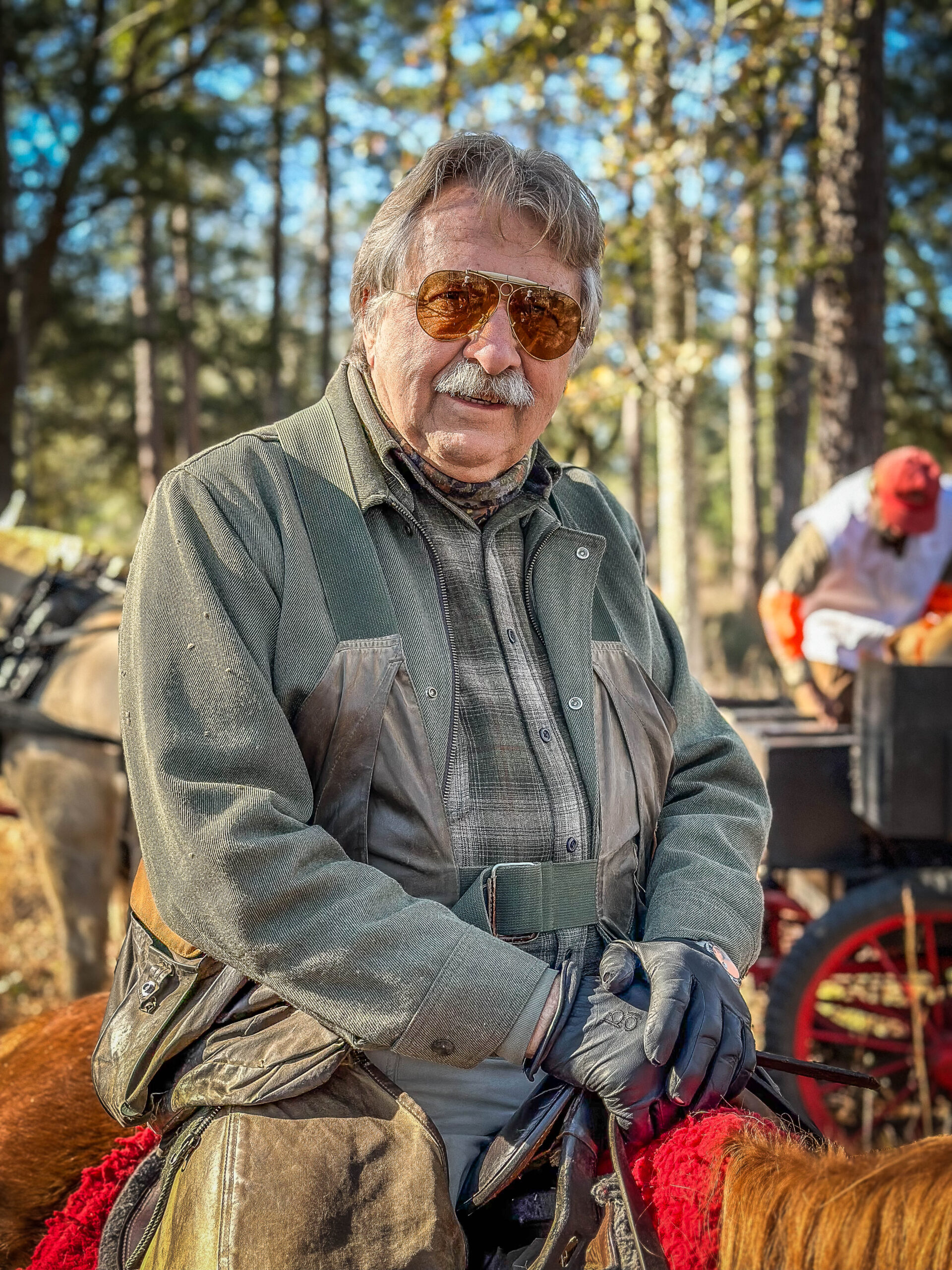 Wild Wings - Safari Club