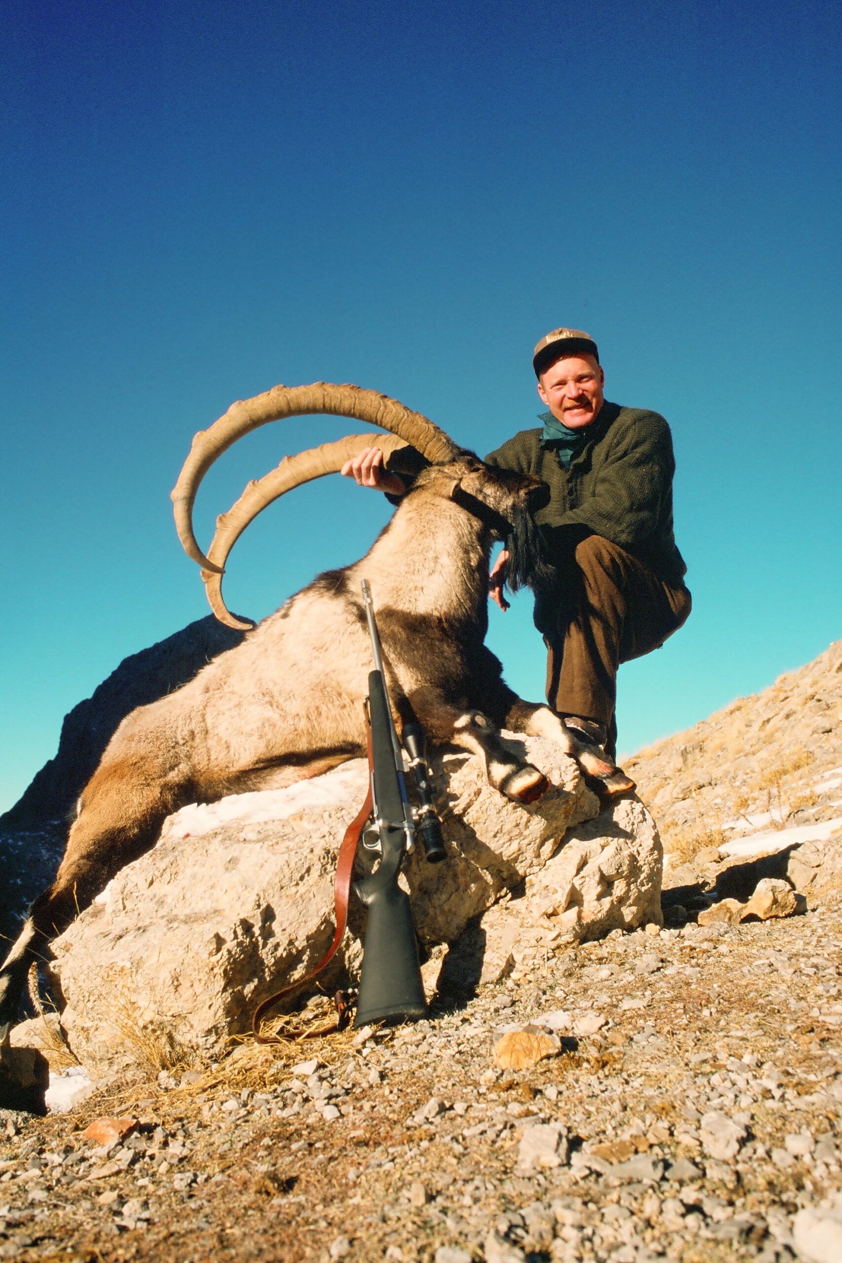 Super Stalks - Safari Club