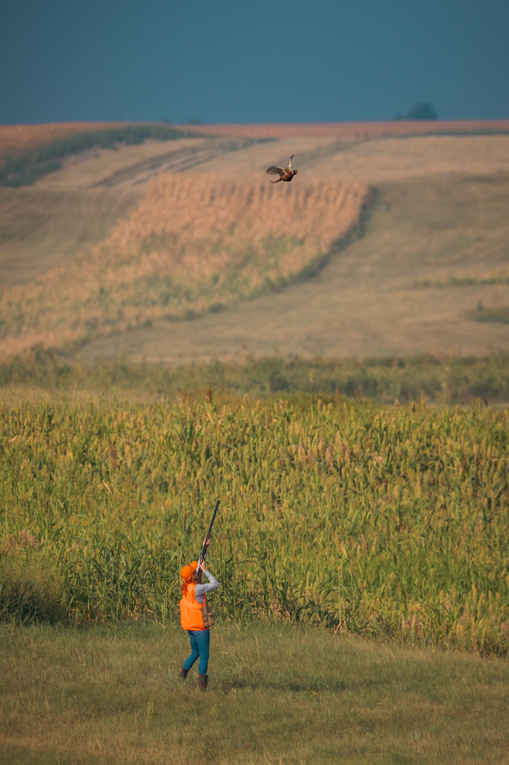 Pheasant Feast - Safari Club
