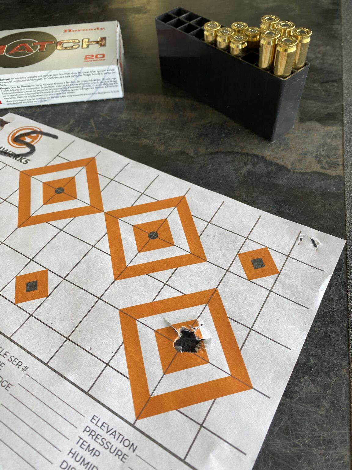 Learn to Shoot Long Range The Right Way - Safari Club