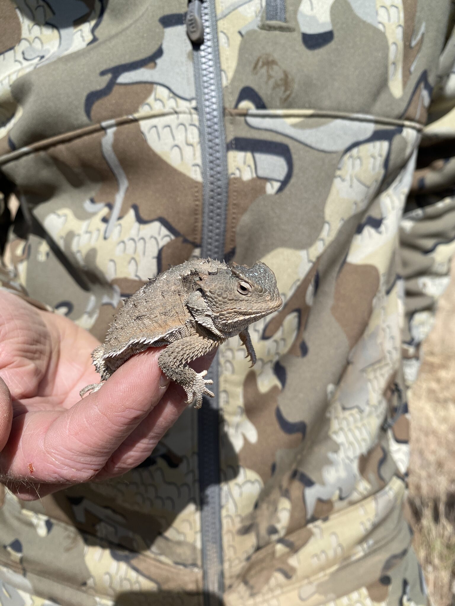 New Federal 7mm Cartridge Made For Suppressed Rifles - Safari Club