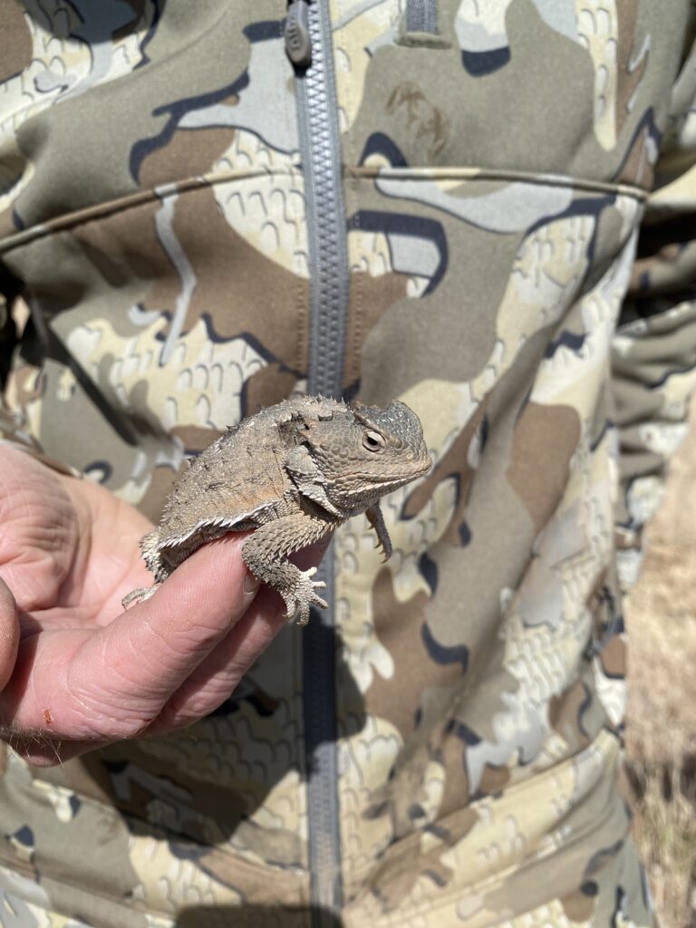 New Federal 7mm Cartridge Made For Suppressed Rifles - Safari Club