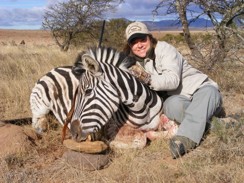 WGH Hunting Awards Challenge Entries - Beth Robinson, Burchell Zebra ...