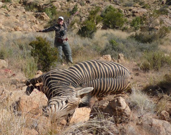 WGH Hunting Awards Challenge Entries – Beth Robinson, Mountain Zebra ...