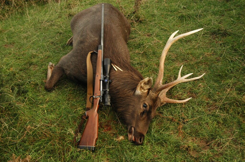 World's Coolest Deer? - Safari Club